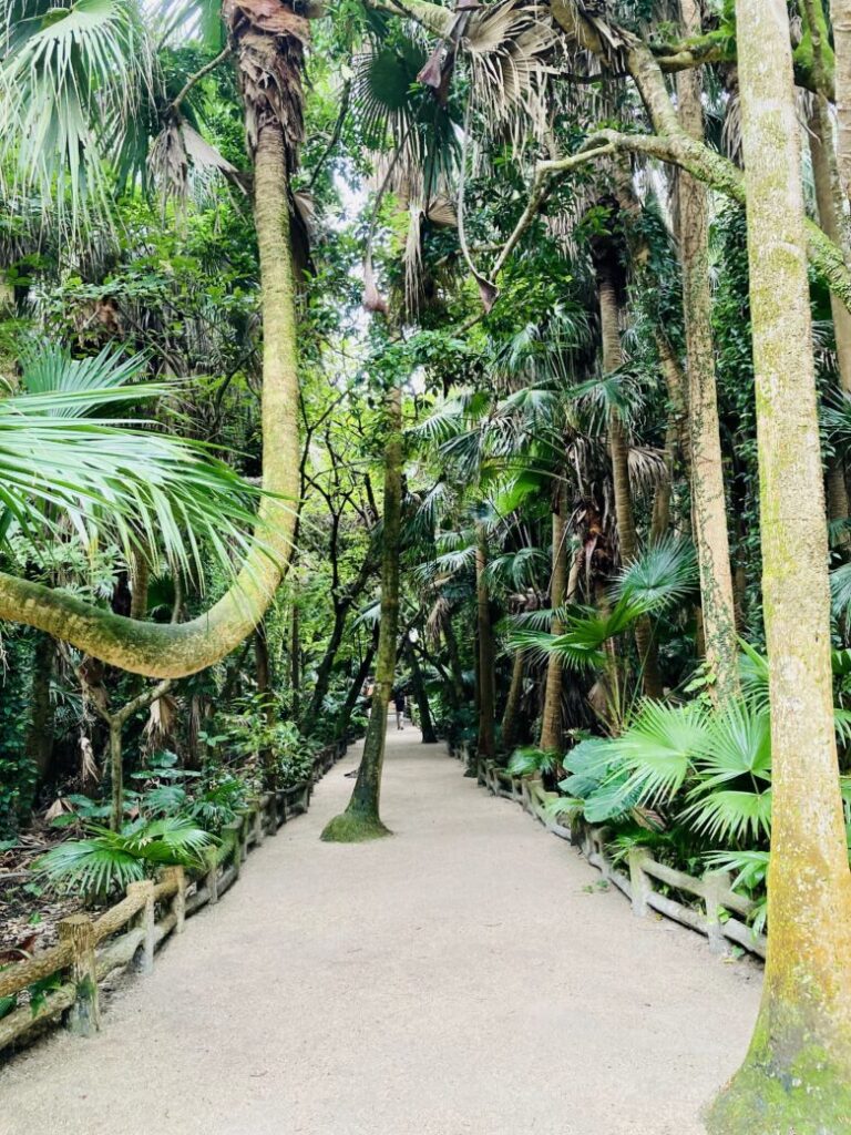 疲れた時の60代女性の一人旅/宮崎充実の3日間